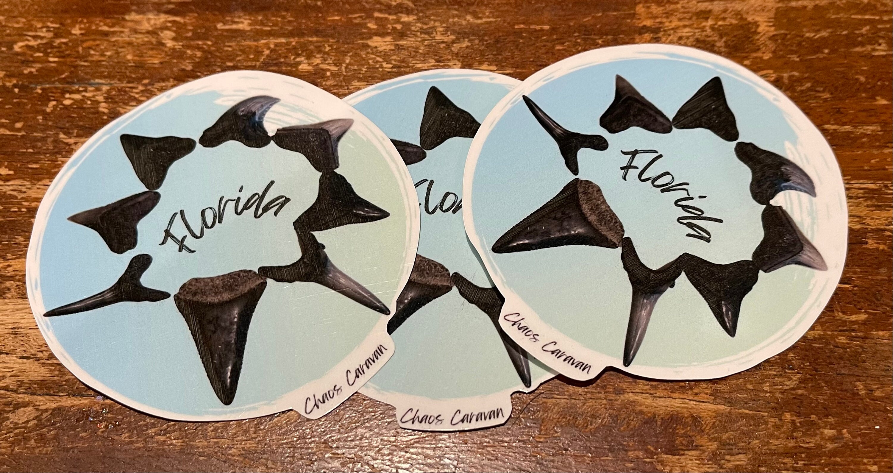 Florida Shark Tooth Fossil Circle on Blue Swirl Sticker| Fossil ...