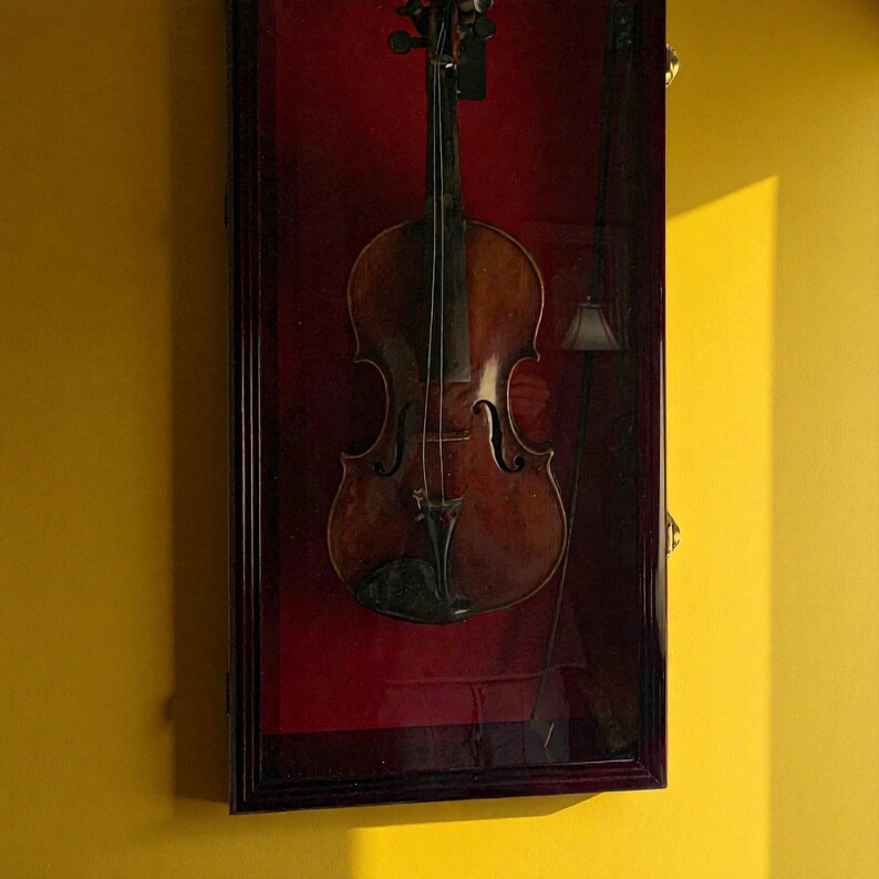 Violin Display Case Cabinet Wall Rack Hanger for Instrument and Bow W ...