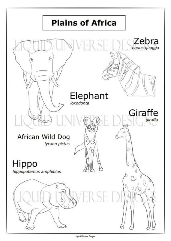 African Animal Book Coloring Pages