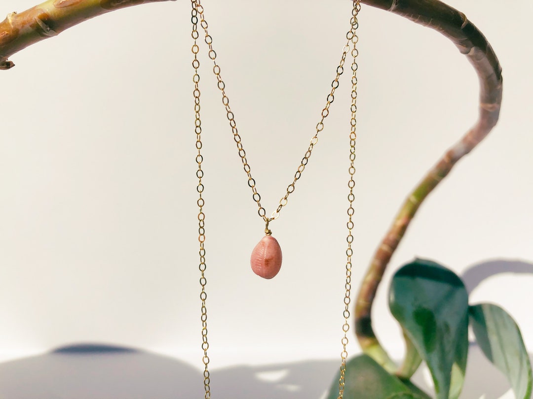 Pink Cowrie Shell Necklace on Gold Chain - Etsy