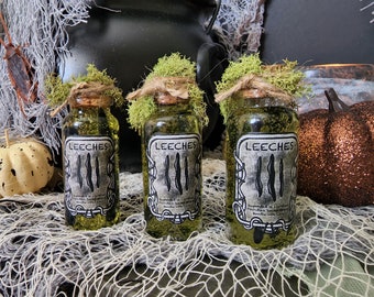 Halloween Swamp Decor - Etsy