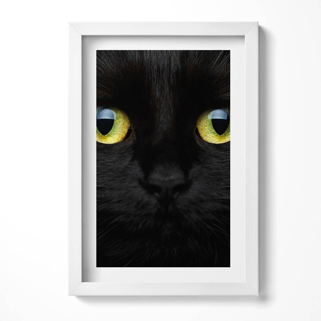 Animal Cat Eyes Print in Frame, Animals Art Print, Black Wall Art, Home ...