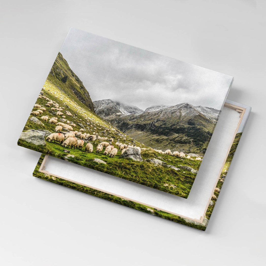 Sheep in a Clearing in the Mountains Canvas, Wall Art Picture, Green Wall Decoration, Nature ...