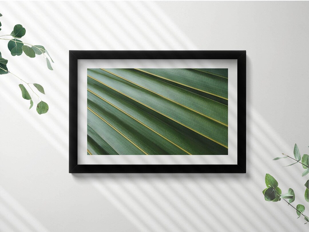 Green Plant Texture Print in Frame, Flowers and Plants Art Print, Green ...