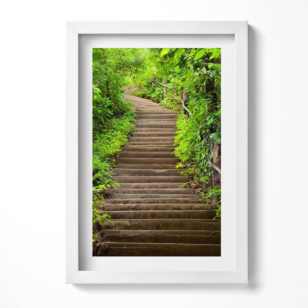 Stairs in the Middle of the Forest Framed Art, Landscape Illustration ...
