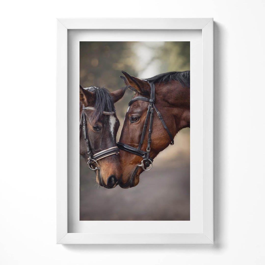 Portrait of Horses in the Forest Framed Art, Animals Illustration in ...