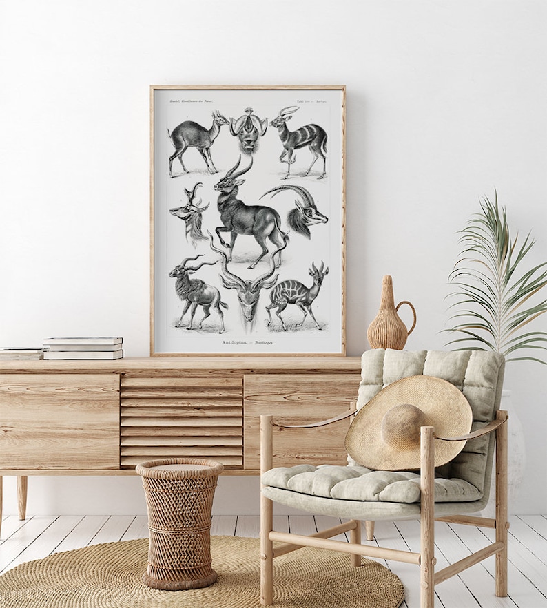 Poster Wall Art Antelopes Poster by Ernst Haeckel RO494 Grey, Beige ...