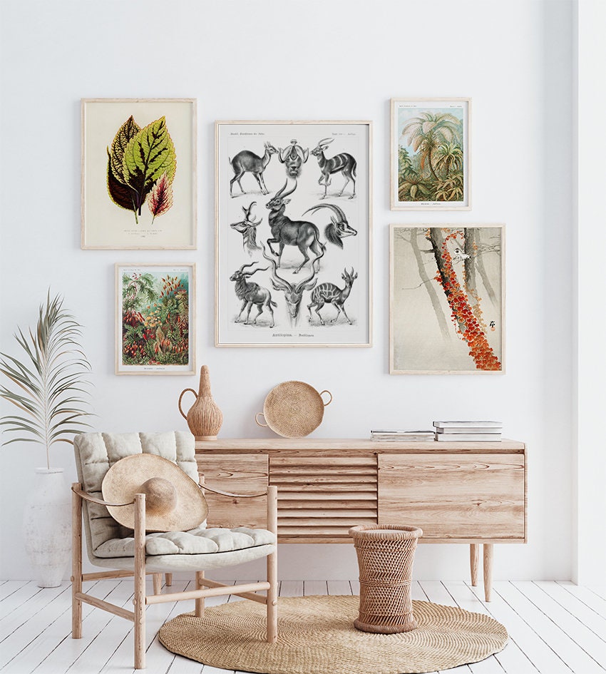 Poster Wall Art Antelopes Poster by Ernst Haeckel #RO494 Grey, Beige ...