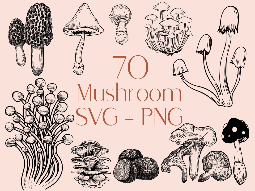 Mushroom SVG Clipart Bundle: 70 Fungus Designs (commercial Use) - Etsy UK