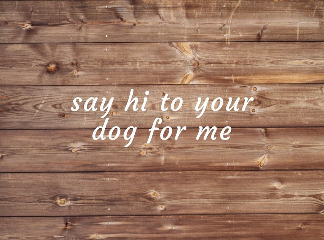 Say Hi to Your Dog From Me Vinyl Decal, Bumper Sticker, Funny Decal ...