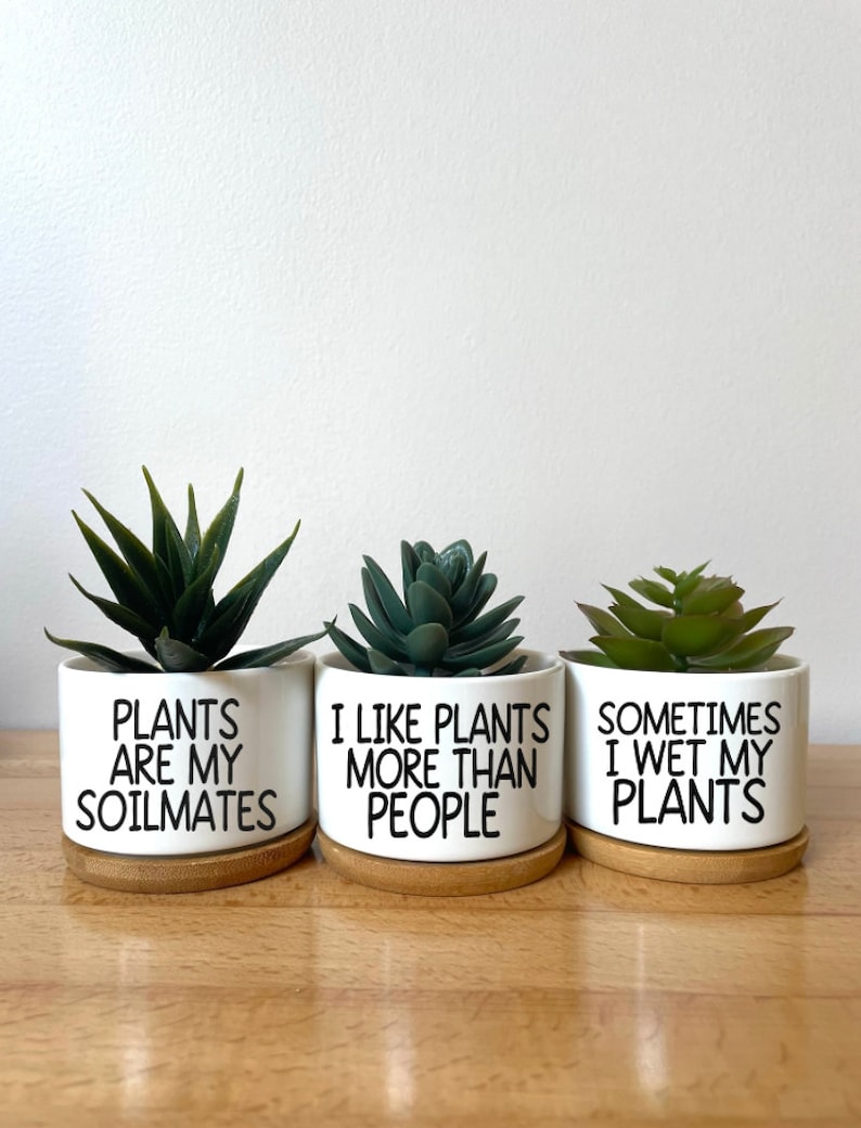 Funny Planter Pot Herb Garden Planter Plant Puns Terracotta - Etsy