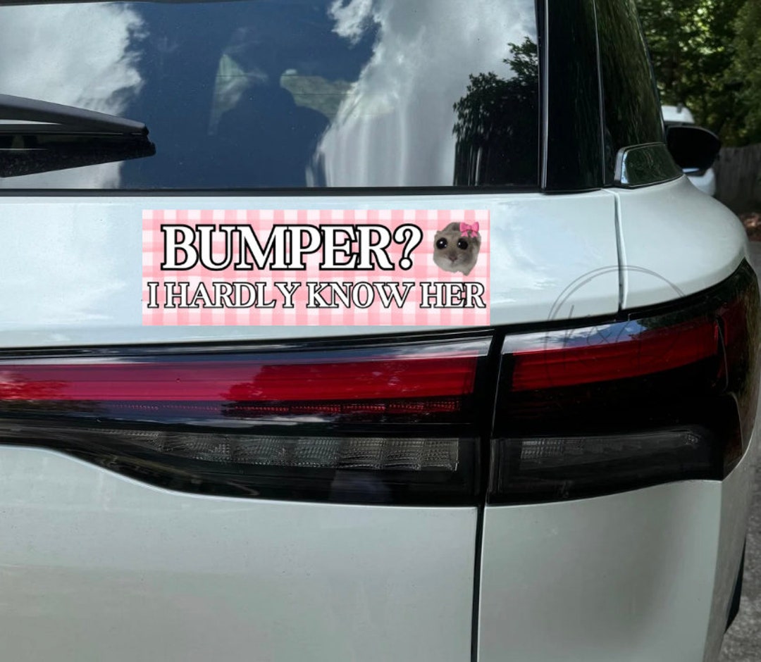 Bumper? I Hardly Know Her Funny Bumper Sticker, Pink Plaid Tok Hamster ...