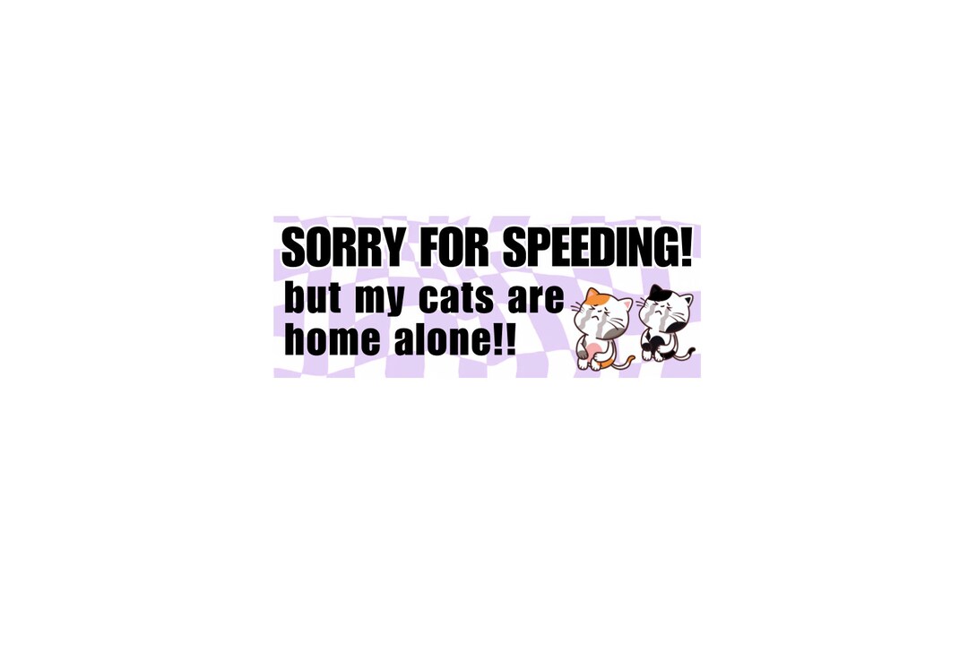 Sorry for Speeding but My Cats Are at Home Alone Bumper Sticker, Purple ...