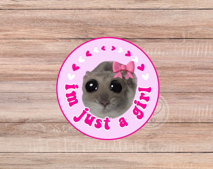 Student Driver Sad Hamster Car Bumper Sticker Crying Funny Cute Pink ...