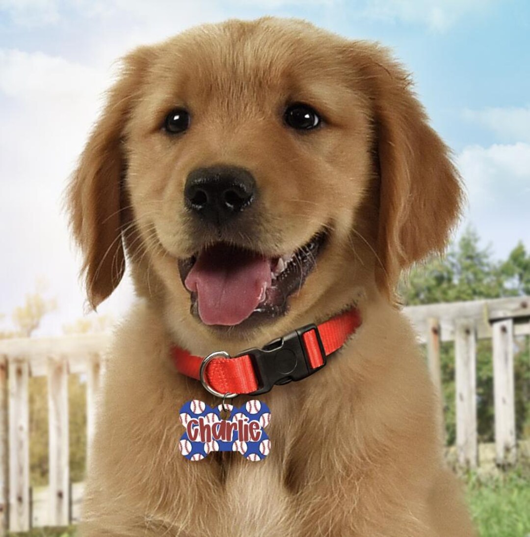 2 Inch Baseball Blue Red Boy Dog Tag, Dog Tags Custom With Name, Phone Number Dog ID Tag Pet ...