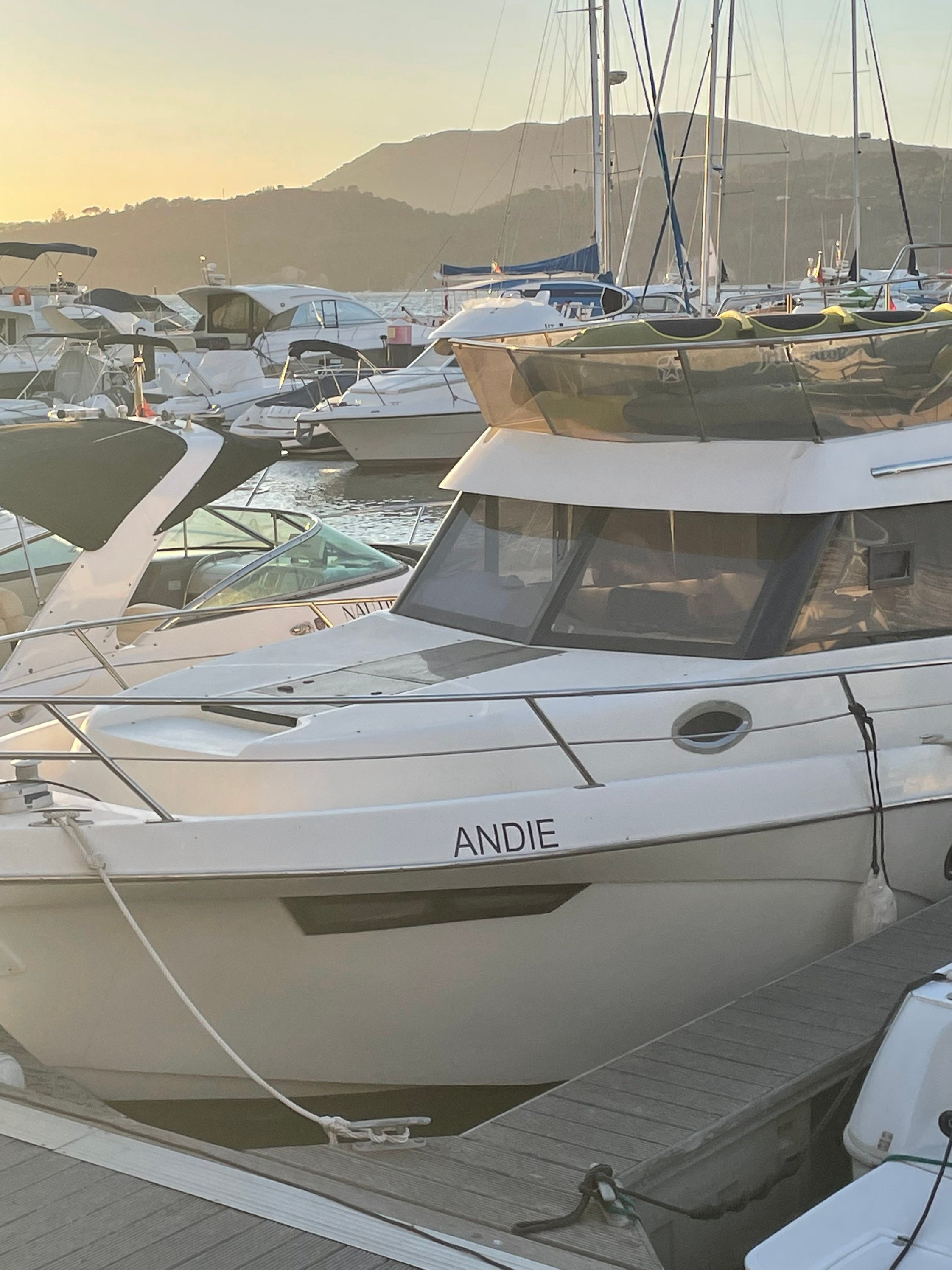 Large Vinyl Decals, Big Custom Jumbo 50 Inch 30 Inch Decal 40 Inch Huge ...