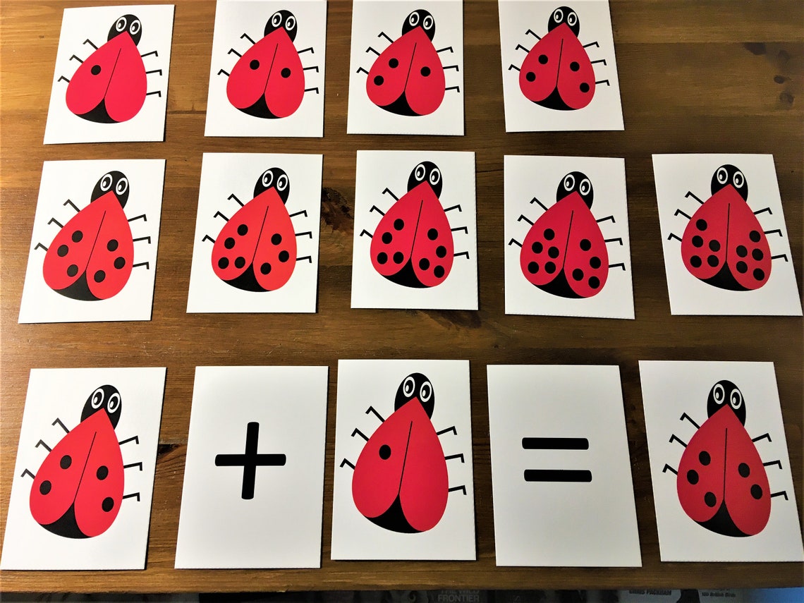 Spring Activity: Early Learning Ladybird Maths Flashcards - Matching ...