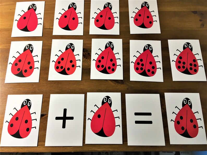 Spring Activity: Early Learning Ladybird Maths Flashcards Matching ...