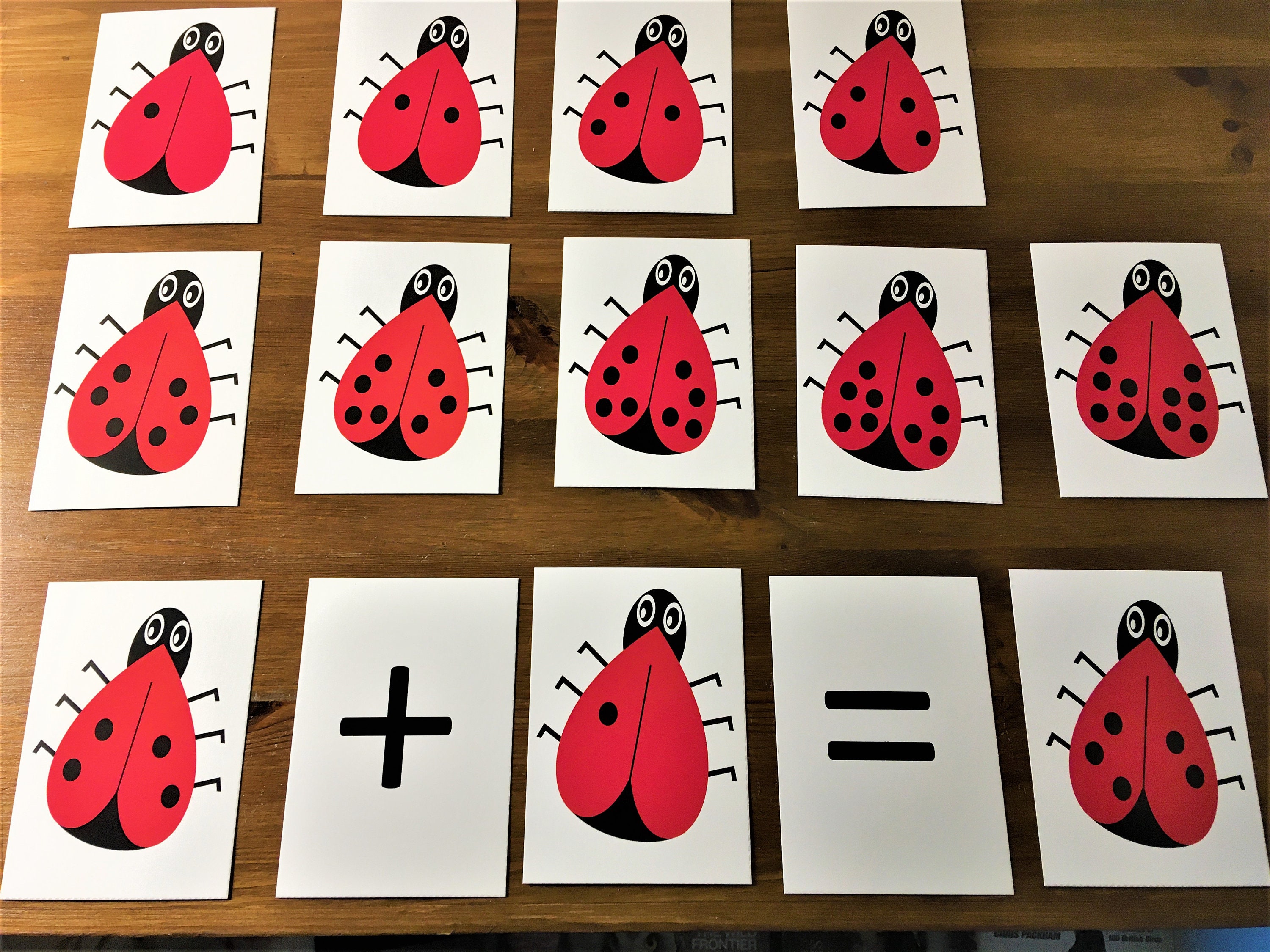 Spring Activity: Early Learning Ladybird Maths Flashcards Matching ...
