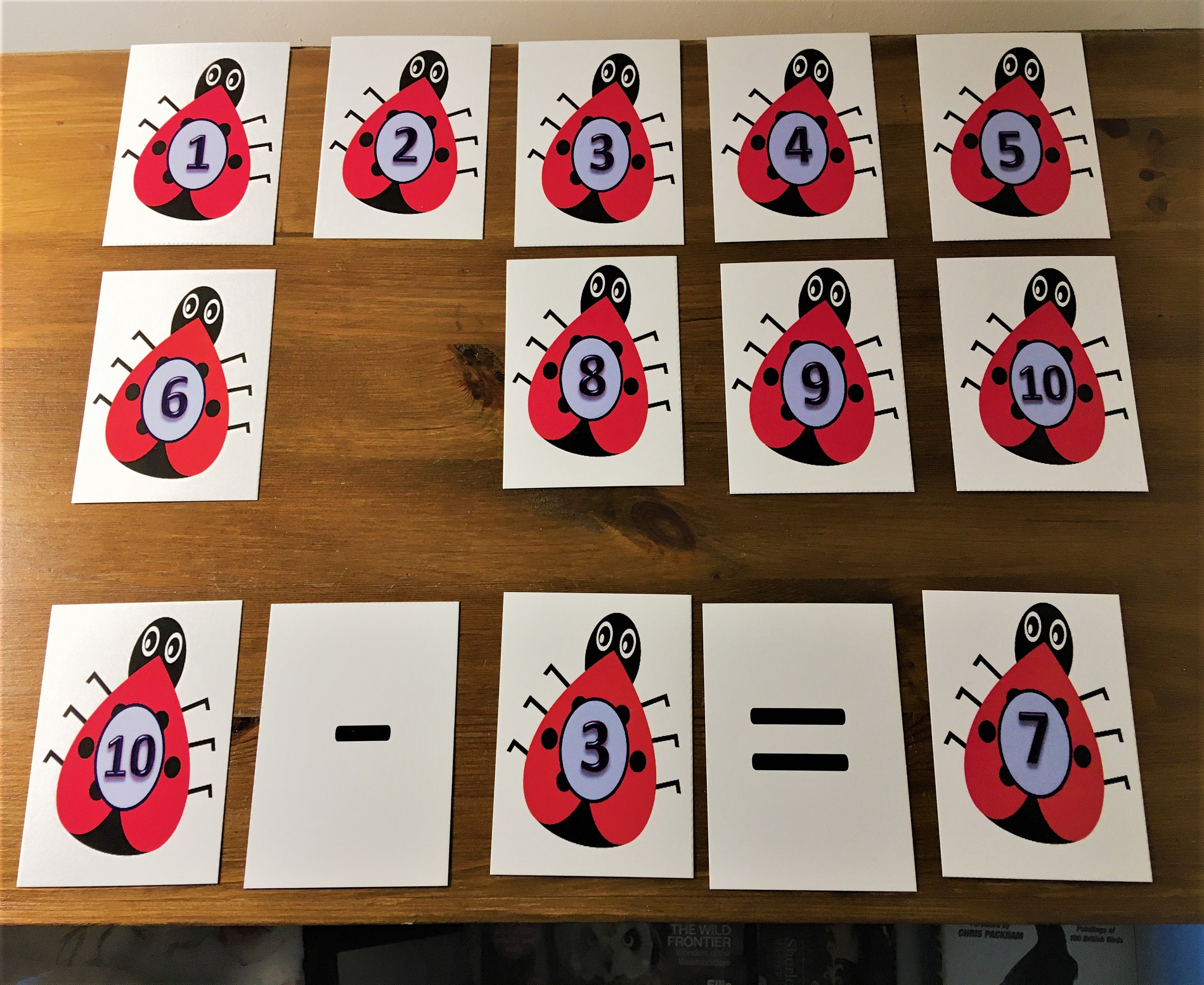 Spring Activity: Early Learning Ladybird Maths Flashcards Matching ...