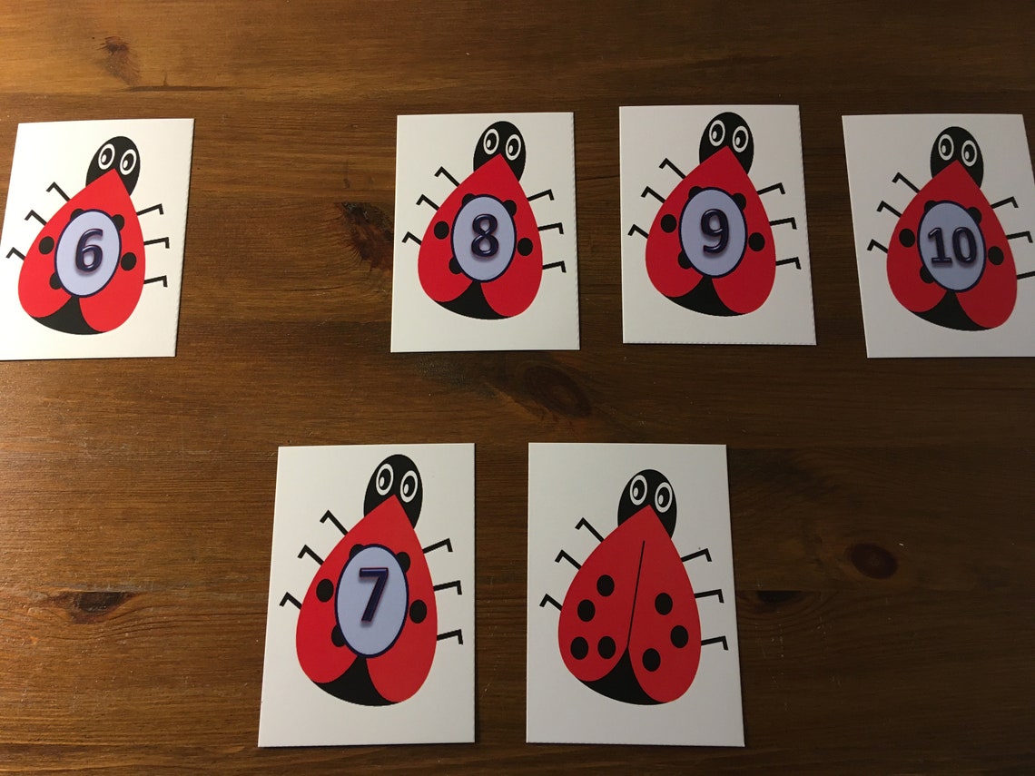Spring Activity: Early Learning Ladybird Maths Flashcards Matching ...