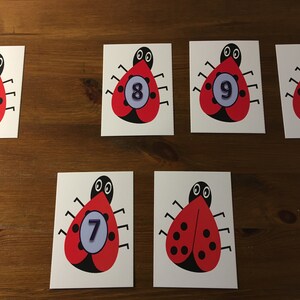 Spring Activity: Early Learning Ladybird Maths Flashcards - Matching ...