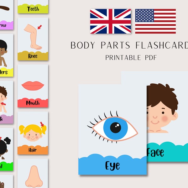 Body Parts Poster English - Etsy