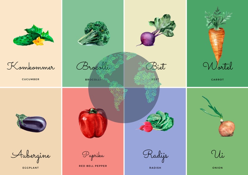 DUTCH Printable Montessori Flash Cards in Dutch With Vegetables ...