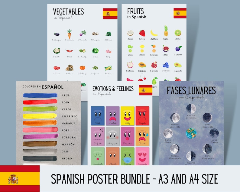 SPANISH Vocabulary Poster Bundle for Classroom Decor | Etsy