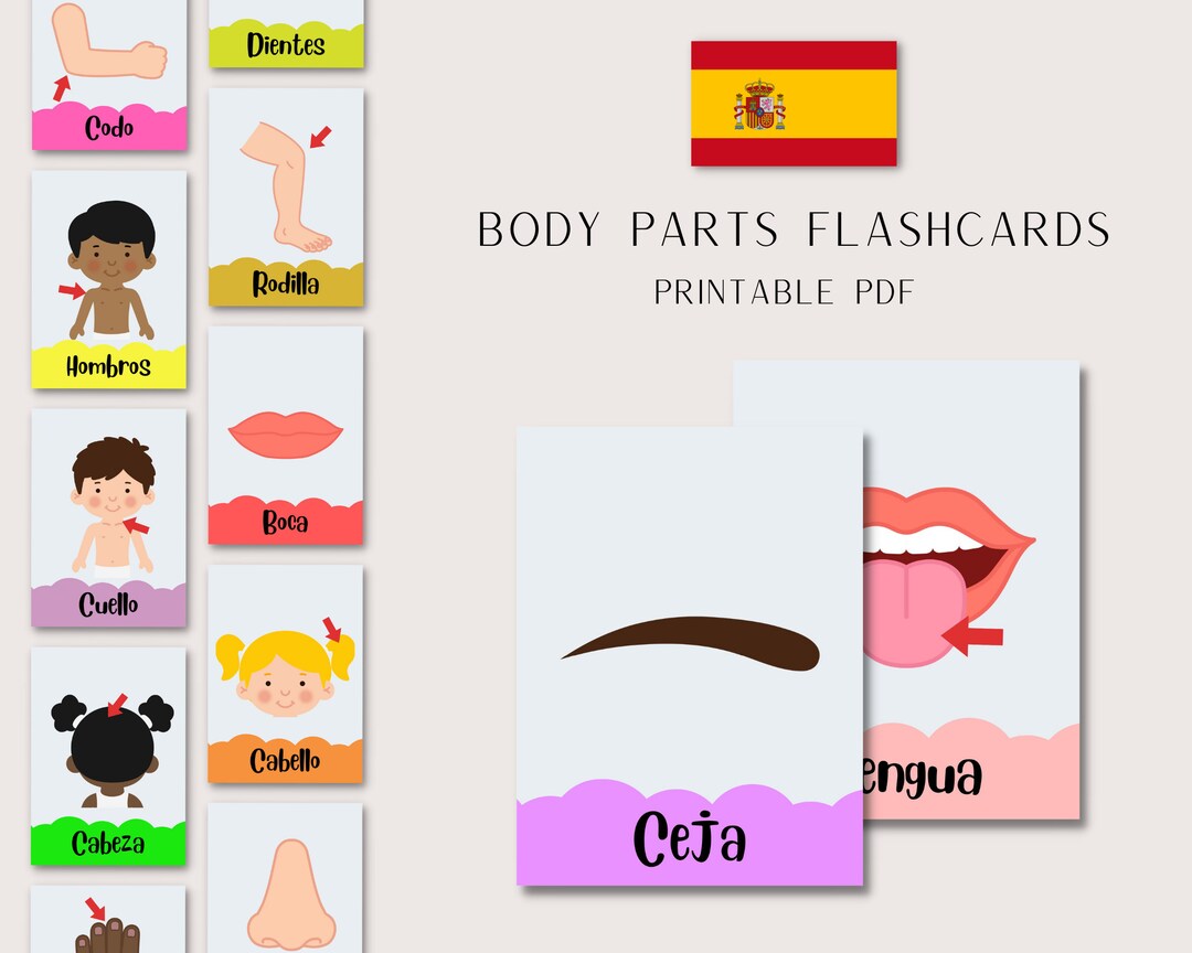 Spanish Montessori Flashcards With Vocabulary for Body Parts, Useful ...