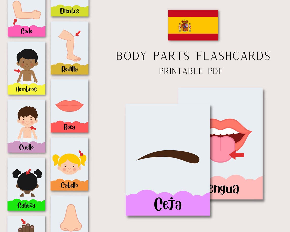 Spanish Montessori Flashcards With Vocabulary for Body Parts, Useful ...
