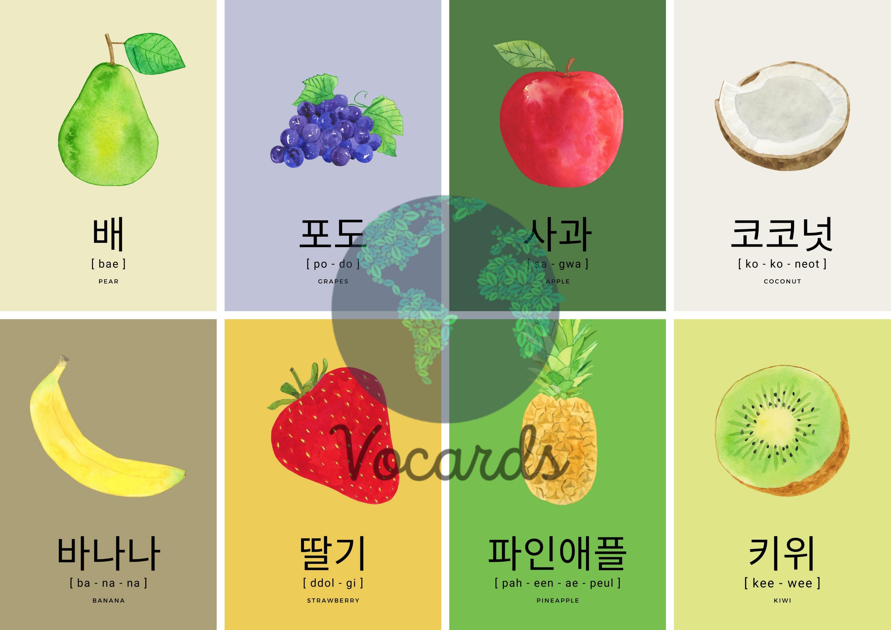 KOREAN Fruits Flashcards Montessori Printable Educational Material for ...