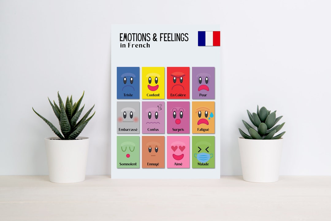 FRENCH Emotions and Feelings Flashcards Montessori Language Flash Cards ...