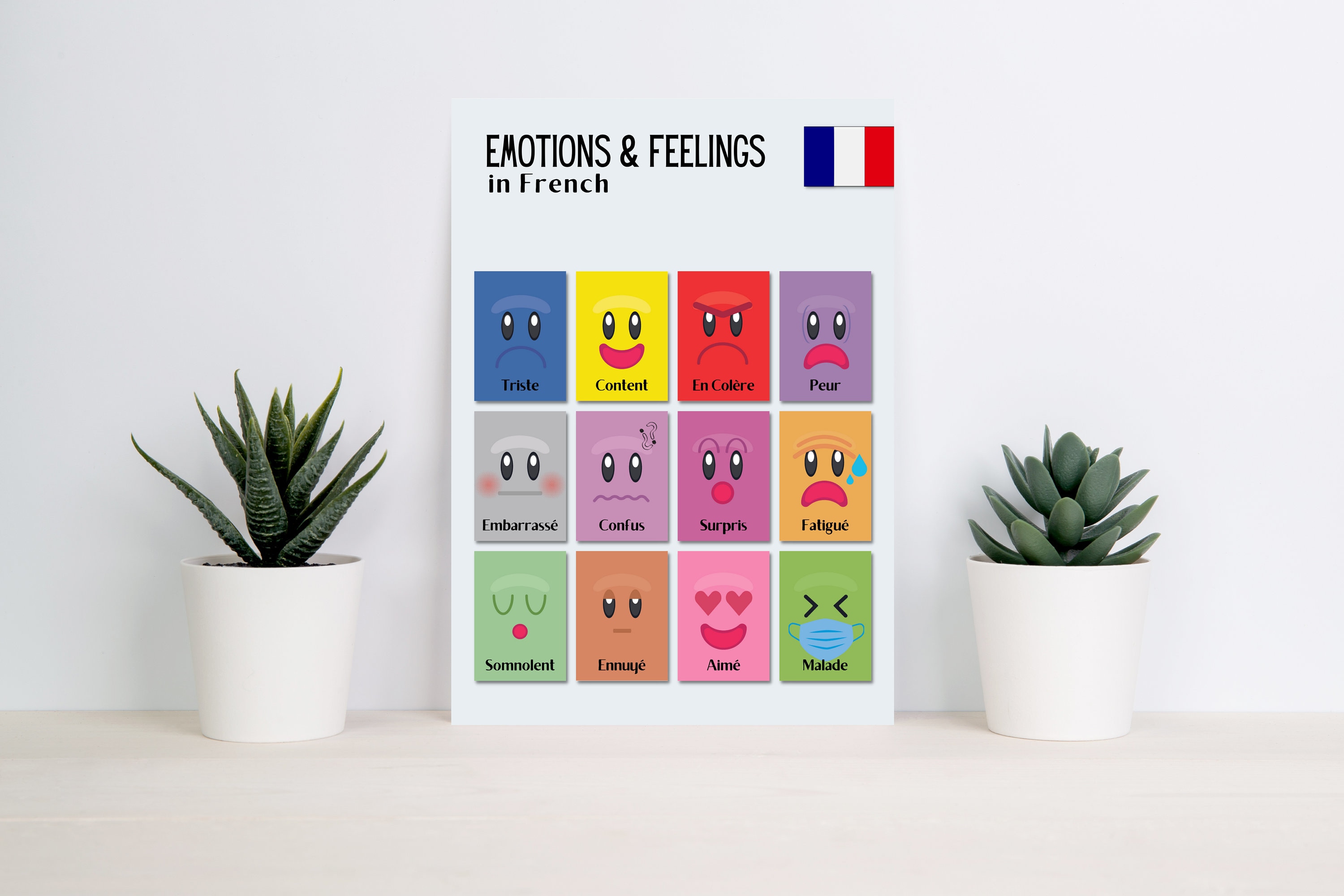 FRENCH | Emotions and Feelings Flashcards | Montessori Language Flash ...