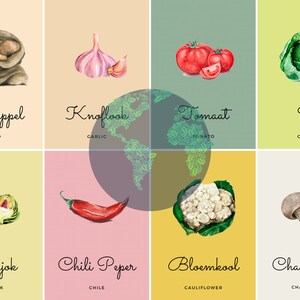 DUTCH Printable Montessori Flash Cards in Dutch With Vegetables ...