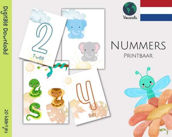 DUTCH Number Flash Cards Educational Language Learning | Etsy