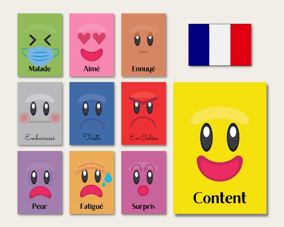 FRENCH Emotions and Feelings Flashcards Montessori - Etsy