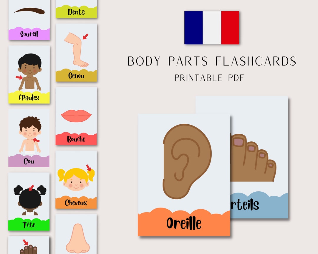 Franse Montessori Flashcards Met Woordenschat Voor Lichaamsdelen ...