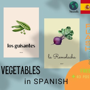 SPANISH | Vegetables Flashcards | Digital Montessori Flash Cards ...
