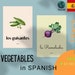 SPANISH | Vegetables Flashcards | Digital Montessori Flash Cards ...