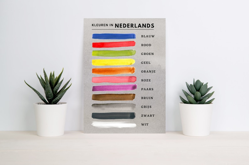 DUTCH Nederlands Colors Kleuren Poster Language Learning Home Classroom ...