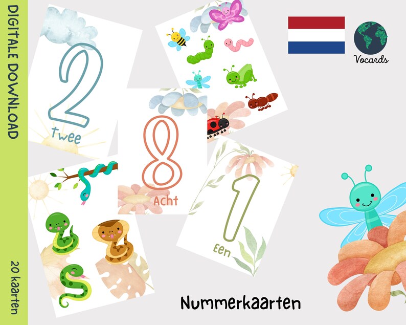 DUTCH Number Flash Cards Educational Language Learning | Etsy