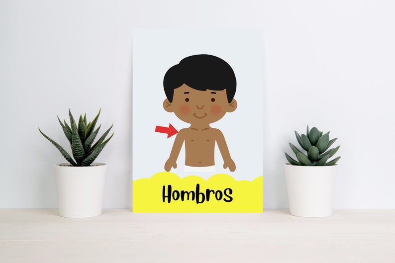 Spanish Montessori Flashcards With Vocabulary for Body Parts - Etsy