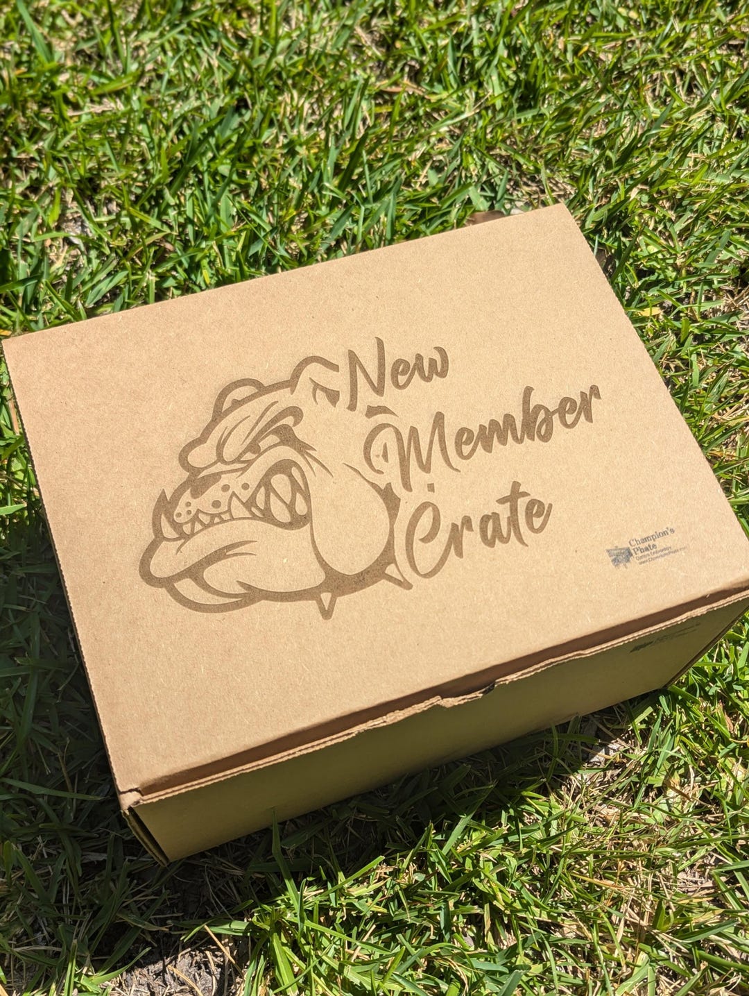 Omega New Member Box - Etsy