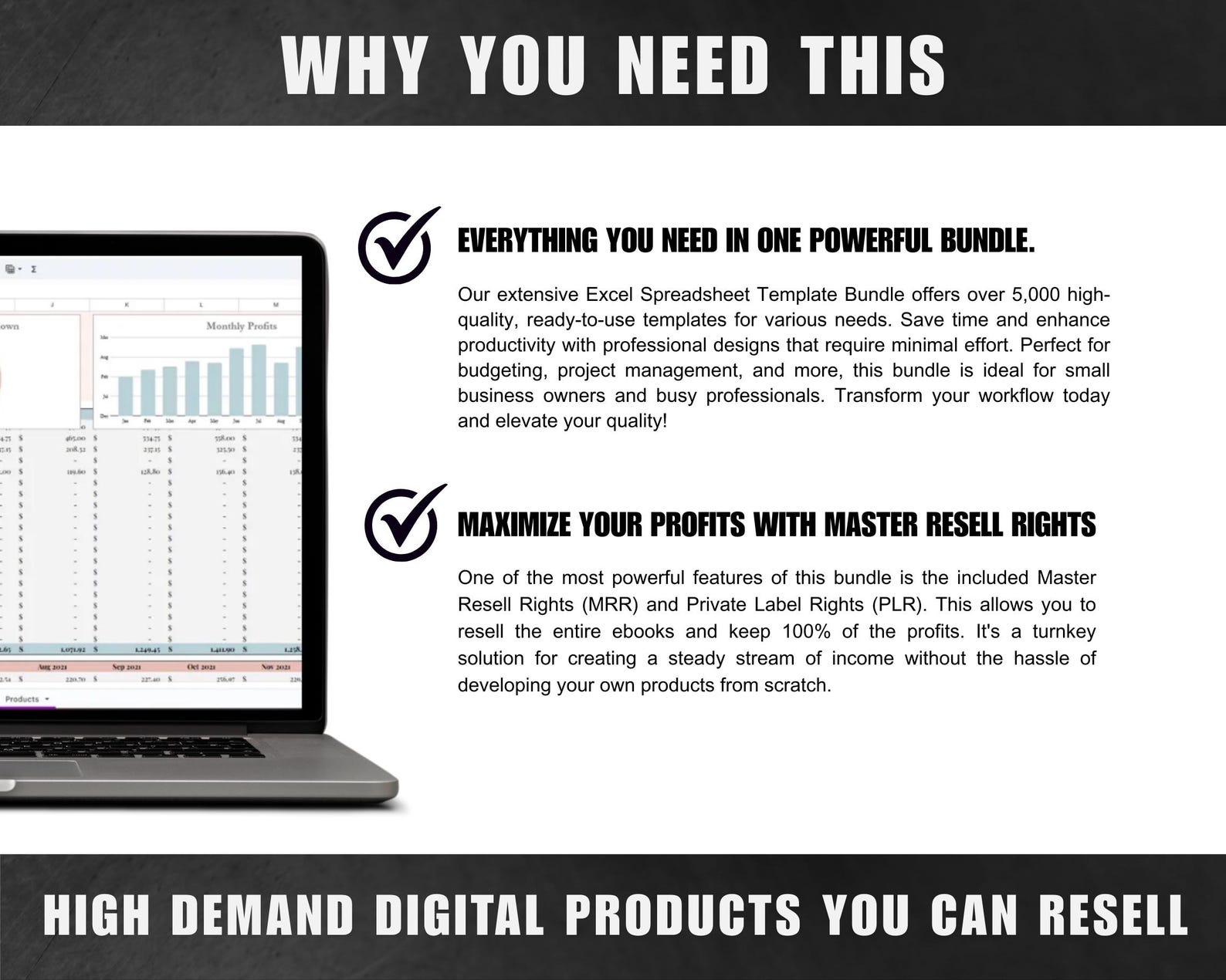 MRR PLR Excel Spreadsheet Google Sheet Template Bundle | Master Resell ...