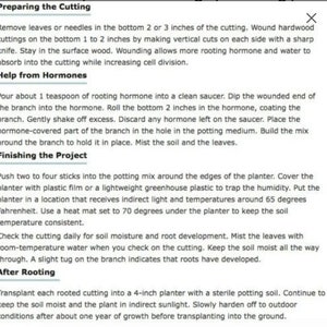 10 MARS GRAPE Cutting / Fruit Tree Scion / Scionwood / Wood / Rooting ...