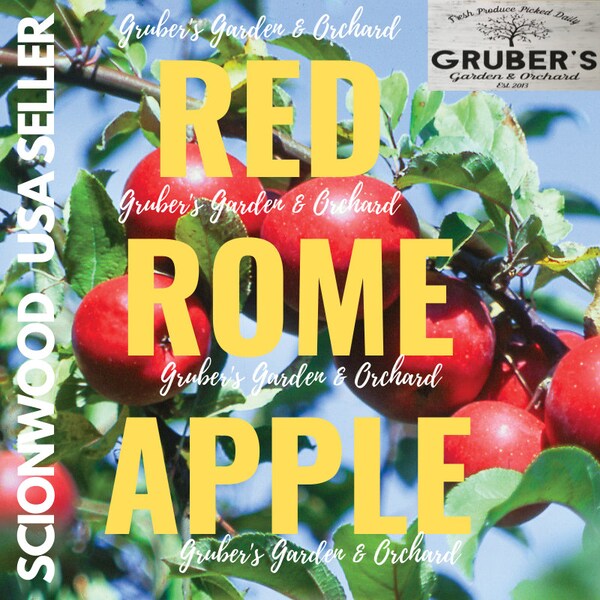 Red Apple Tree - Etsy