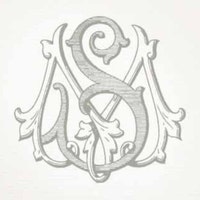 Dainty Small Amara Petal Moissanite Earring 10K Solid Gold Inset ...