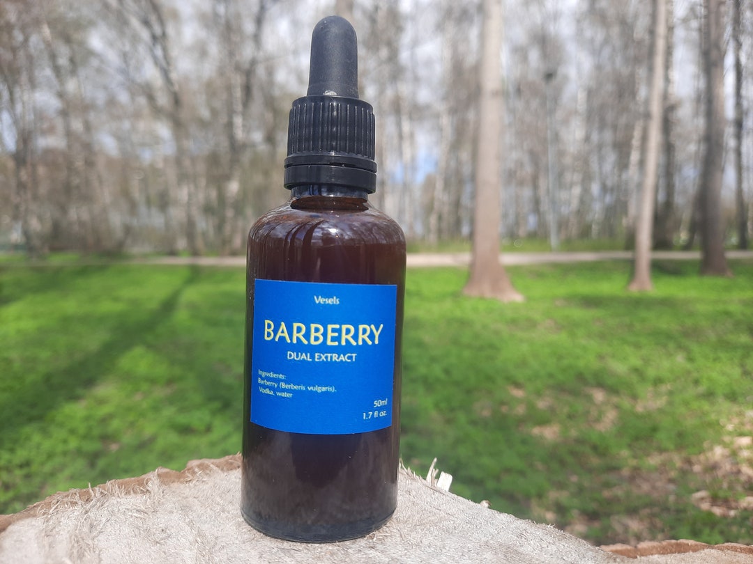 Barberry Concentrated Extract - Etsy