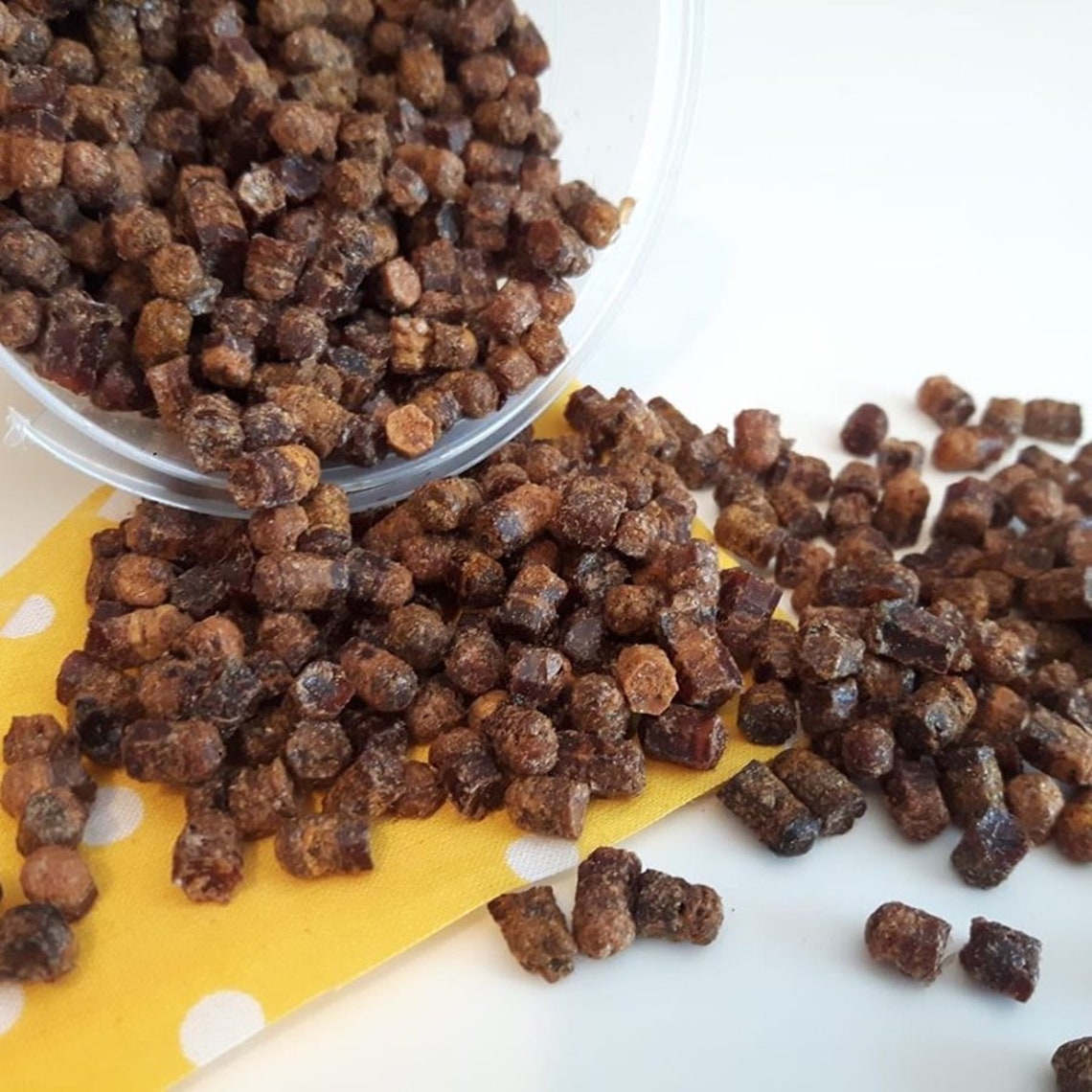 Bee Bread Probiotic Superfood Made by Bees - Etsy